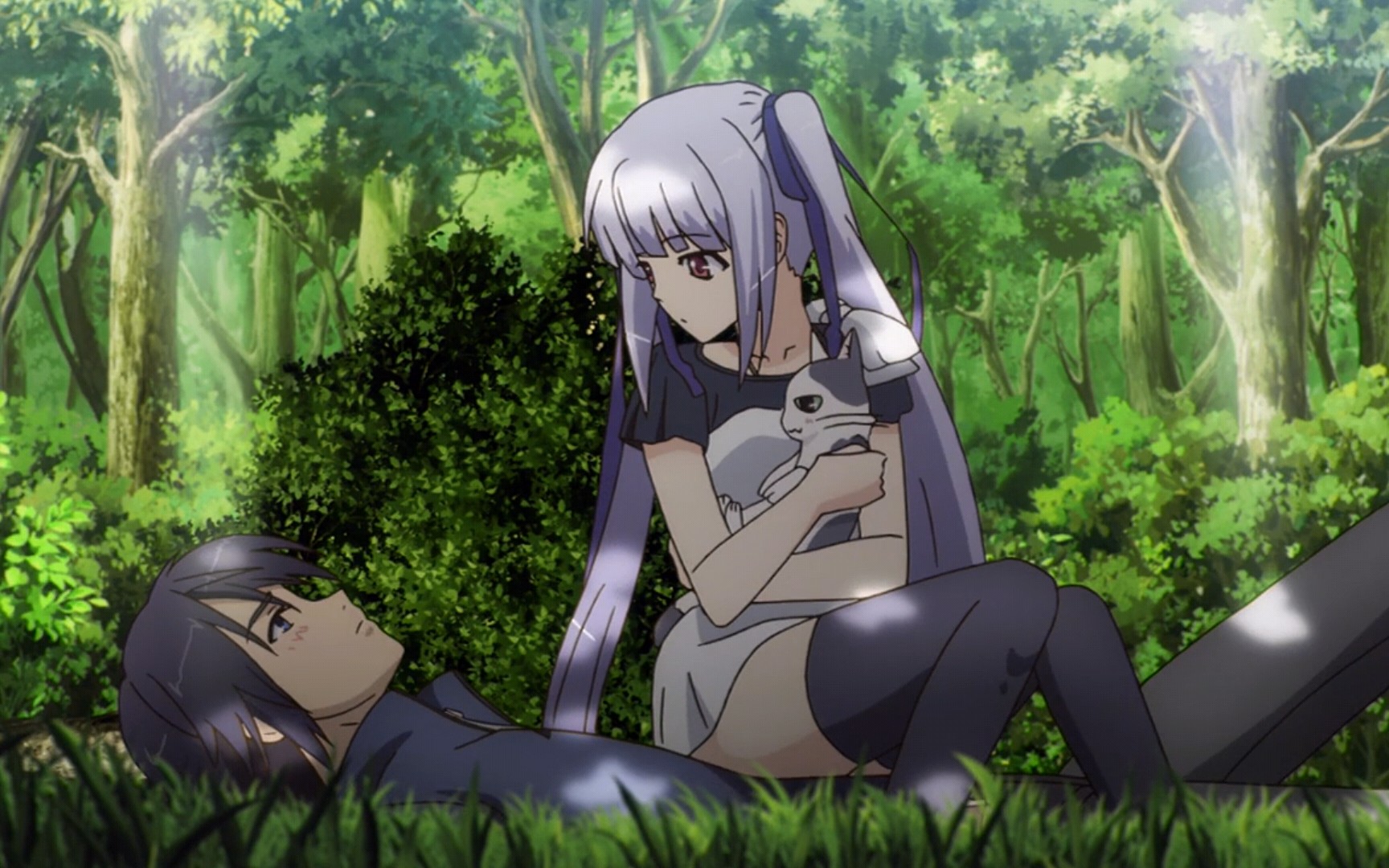 5部绝佳的后宫番!【番剧推荐】