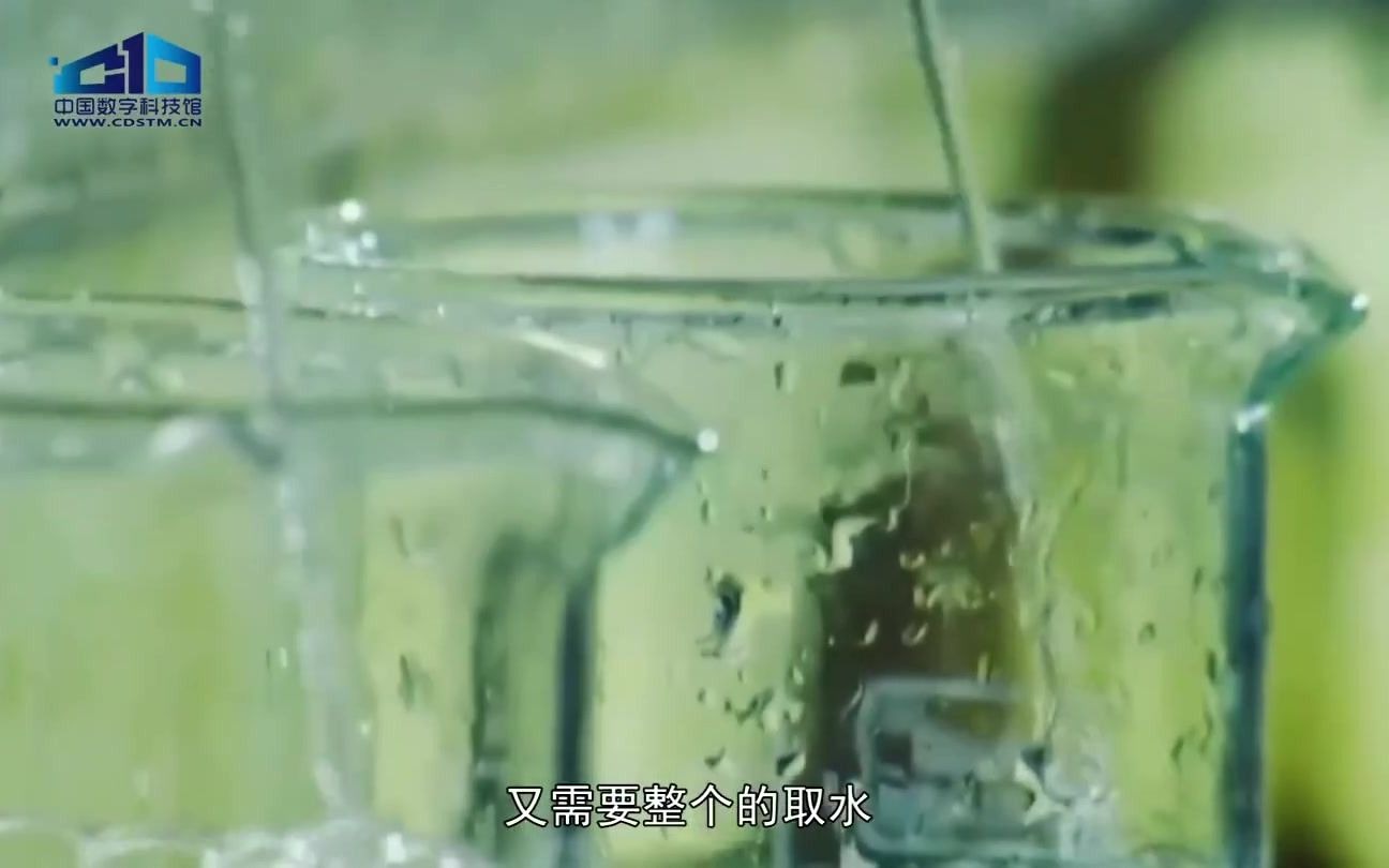 ...文明建设中的一个重要内容,目前我国水生态环境的现状是什么样的?