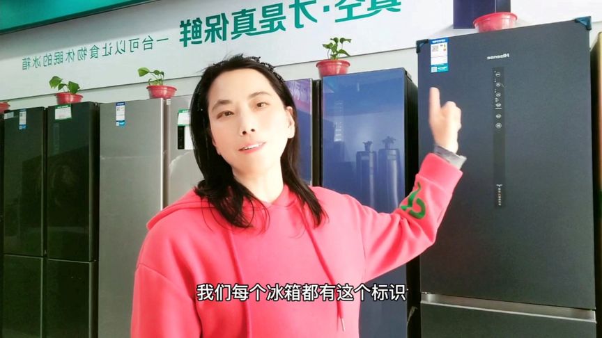 教你认识冰箱上的标识,买冰箱不再踩坑了!