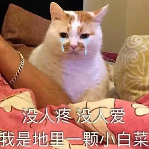 漫画贩仔 