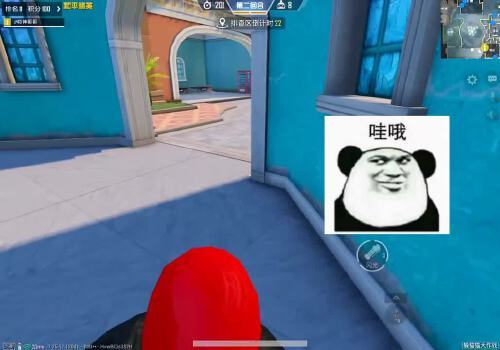 一起憨的两只憨憨