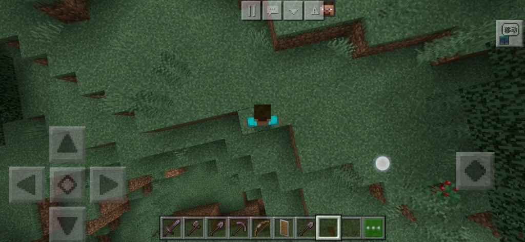 我的世界网易版动作优化