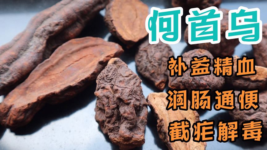 何首乌补益精血、润肠通便、截疟、解读。炮制前后作用居然不同。