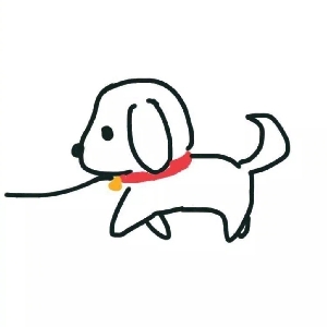 小杨儿爱分享 