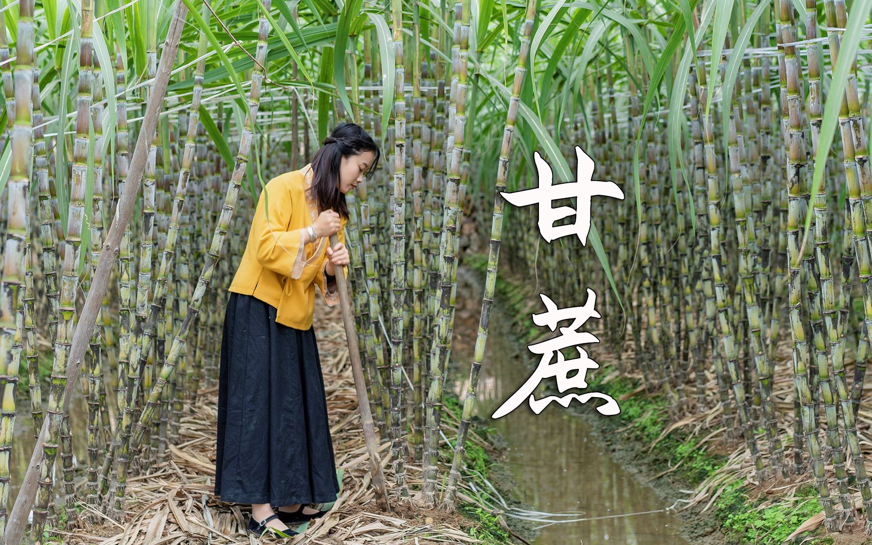 甘蔗变红糖的全过程,用农村大锅小火熬制,手工红糖香甜而又不腻