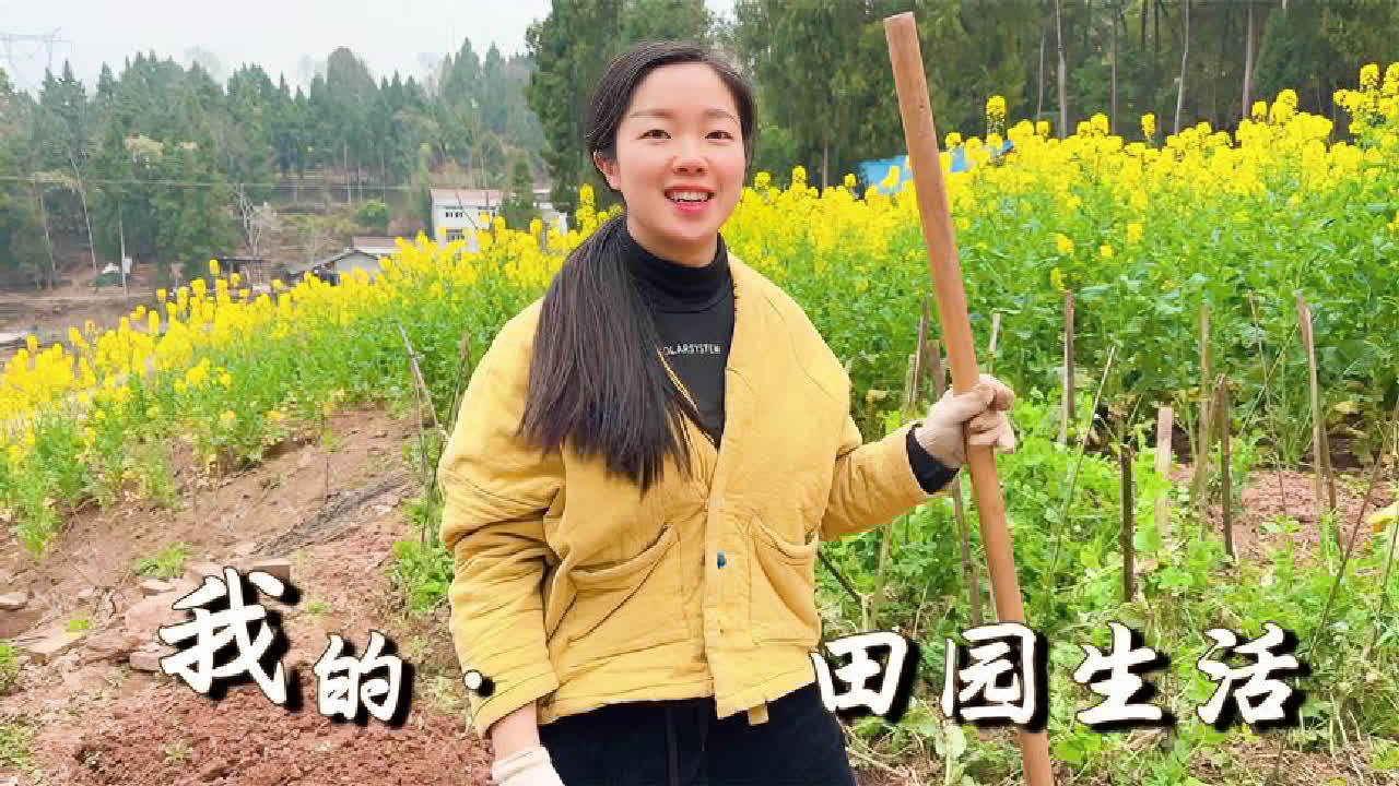 柠檬的农村生活,自耕自种忙着育菜苗,日子过得简单充实有盼头