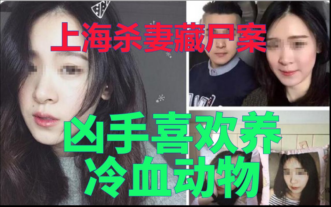 “上海杀妻藏尸案件”,凶手内心变态,曾在30多平米房间养冷血动物?