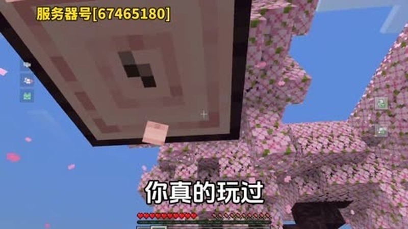 我的世界 1.20纯生存服务器
