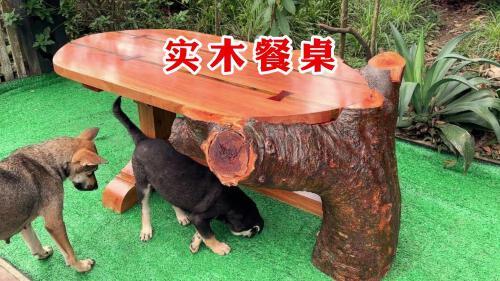 小伙徒手打造精美的实木餐桌,成品太惊艳了