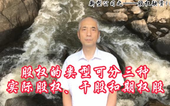 股权的类型可分三种:实际股权、干股和期权股