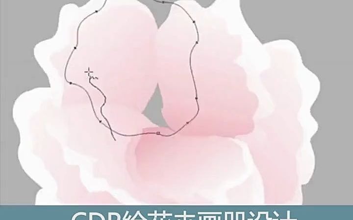 【平面设计视频培训】CDR怎么绘制花卉画册 平面设计笔记本大概...