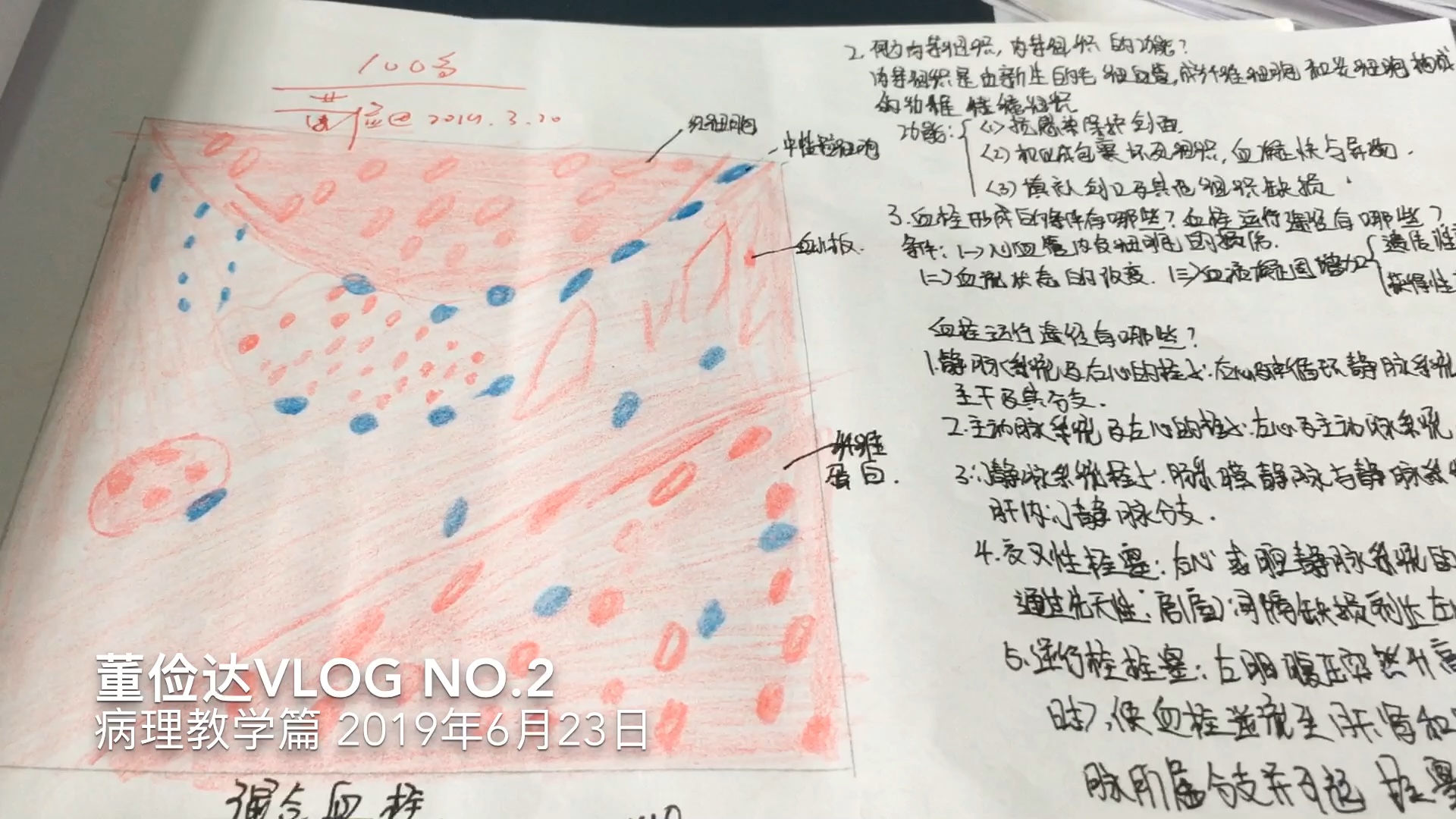 [自制展示]董俭达VLOG No.2 病理学教学篇- 显微镜图像的绘图