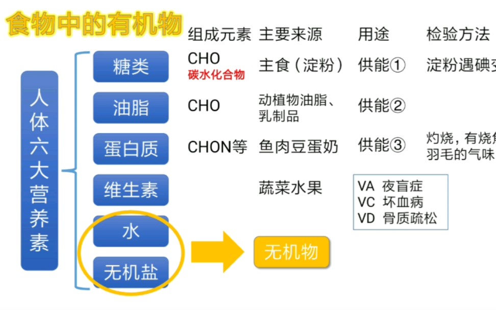 三分钟了解食物中的有机物-生活中的化学