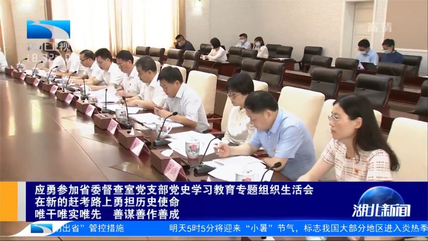 应勇参加省委督查室党支部党史学习教育专题组织生活会