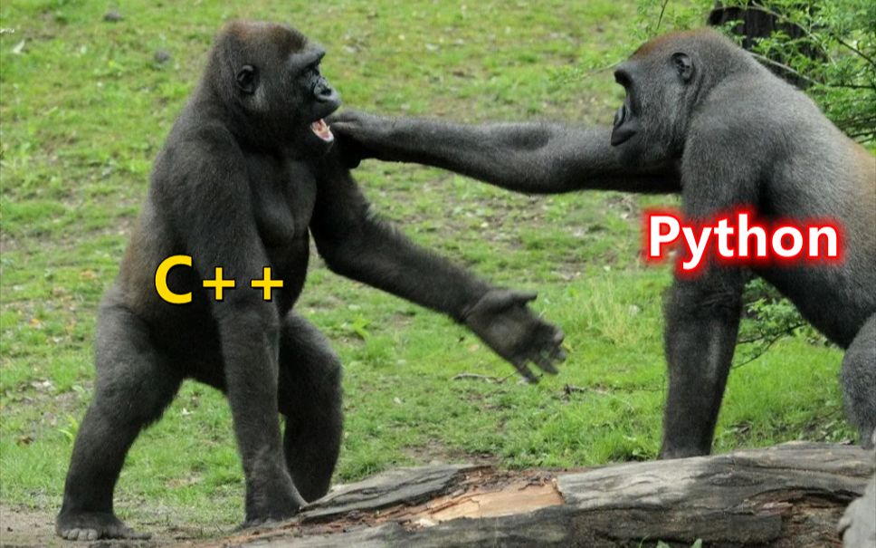 凭借一行代码,这次Python居然跑赢了C++