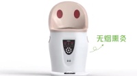 多功能熏蒸仪,广州凯康科技多功能熏蒸仪