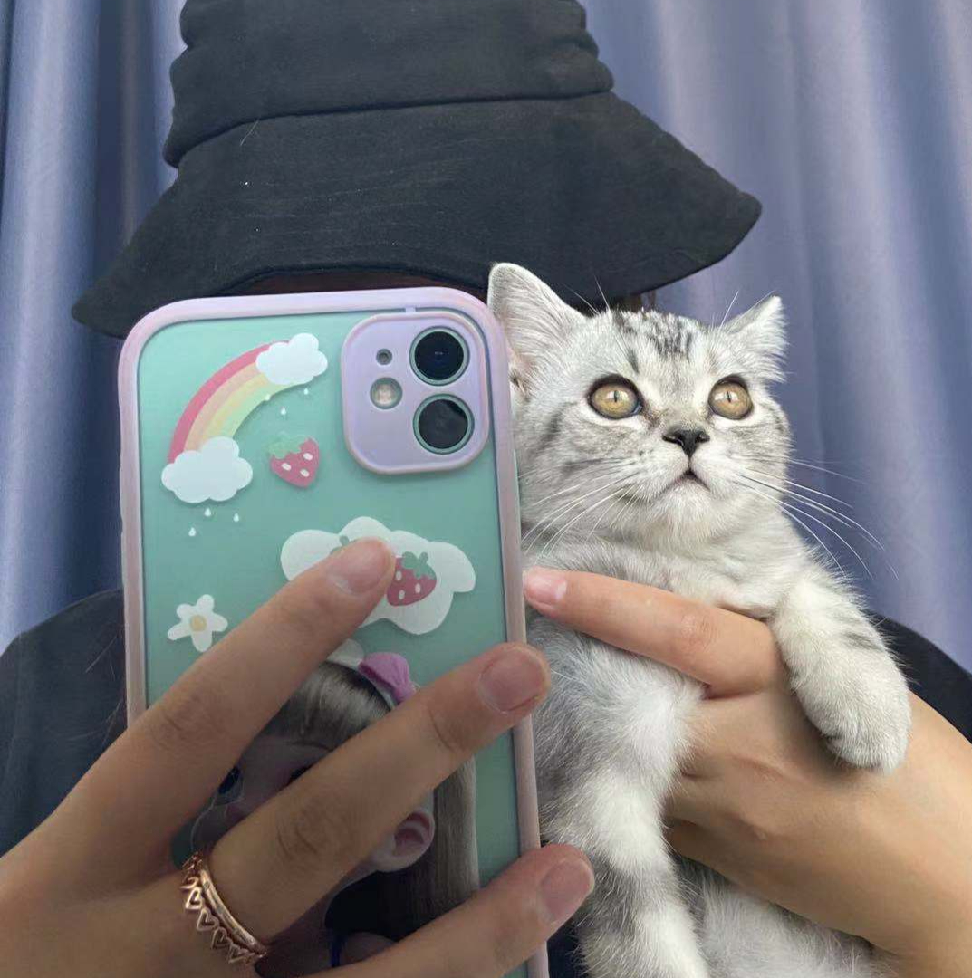 叫我酱油君就好了 