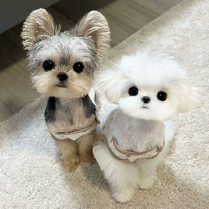杨壹YOKI 