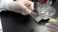 微生物检验教学视频系列之凝固酶试验(玻片法)