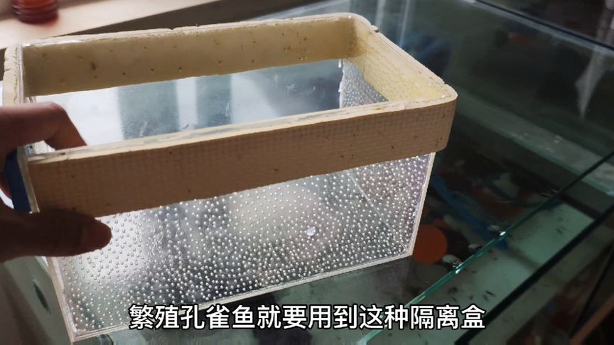 网上卖的几十上百的隔离盒,自己动手几块钱就能做出来,还能悬浮