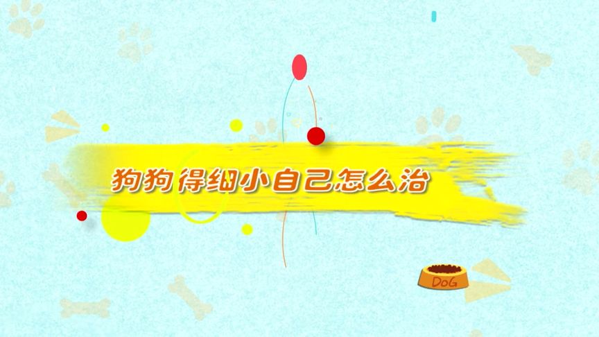 小 救 狗狗得了细小病毒自己怎么治?
