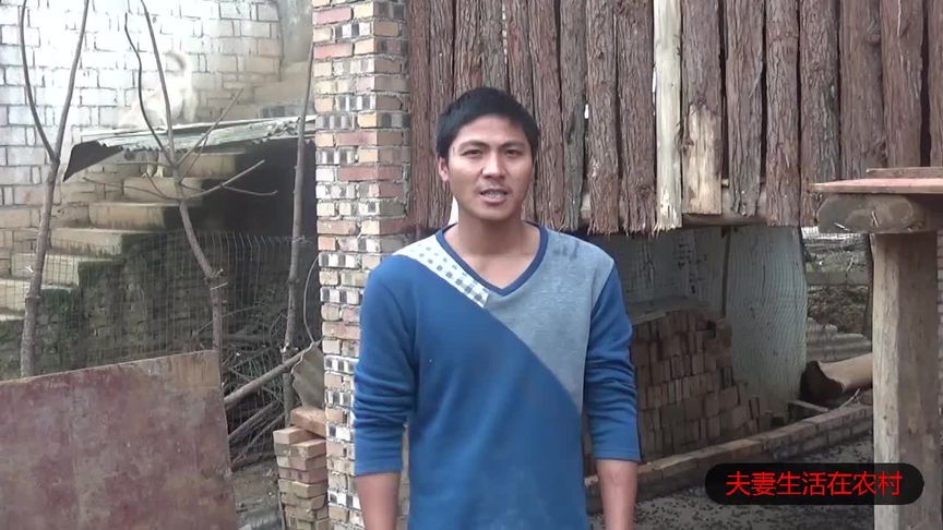 养猪户一个人回农村养殖创业,养500头大猪,还养这么多黑山羊