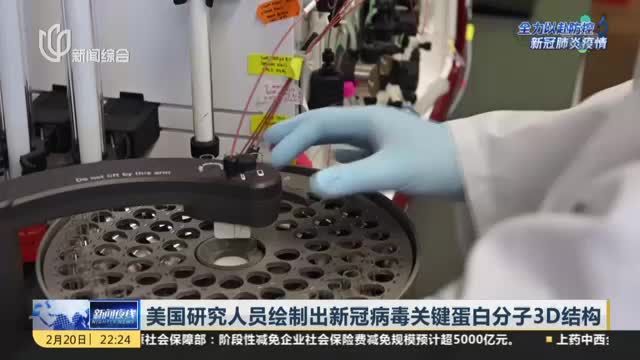 美国研究人员绘制出新冠病毒关键蛋白分子3D结构