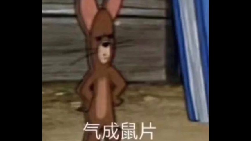 猫和老鼠表情包来袭了!(猫鼠各种搞笑图片)(2)
