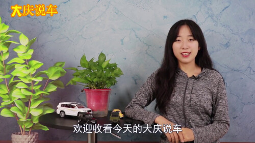 女子选中车牌号,字母和数字都很“高调”