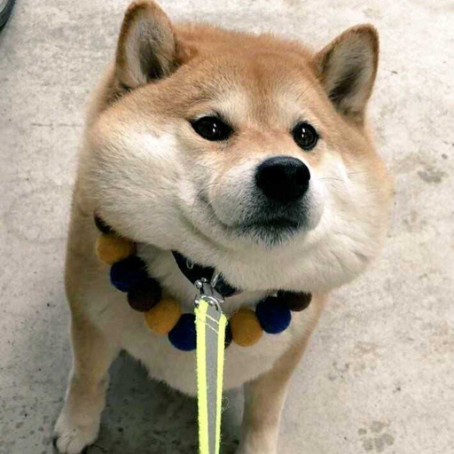 反过来的来过反 