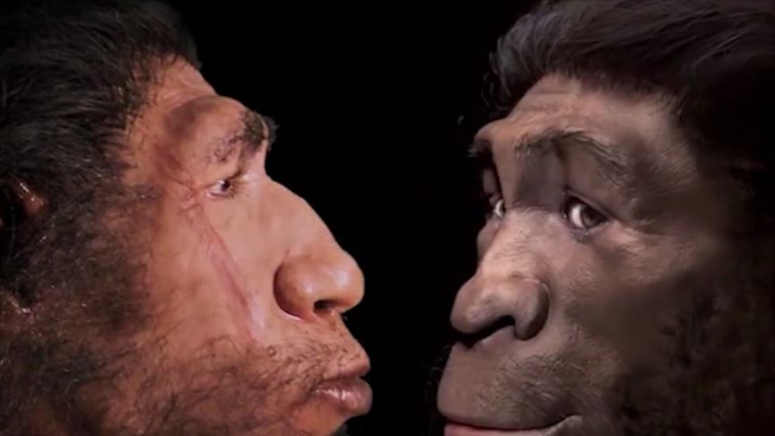 我们为什么会得传染病,看看700万年前人类祖先干了什么就知道了