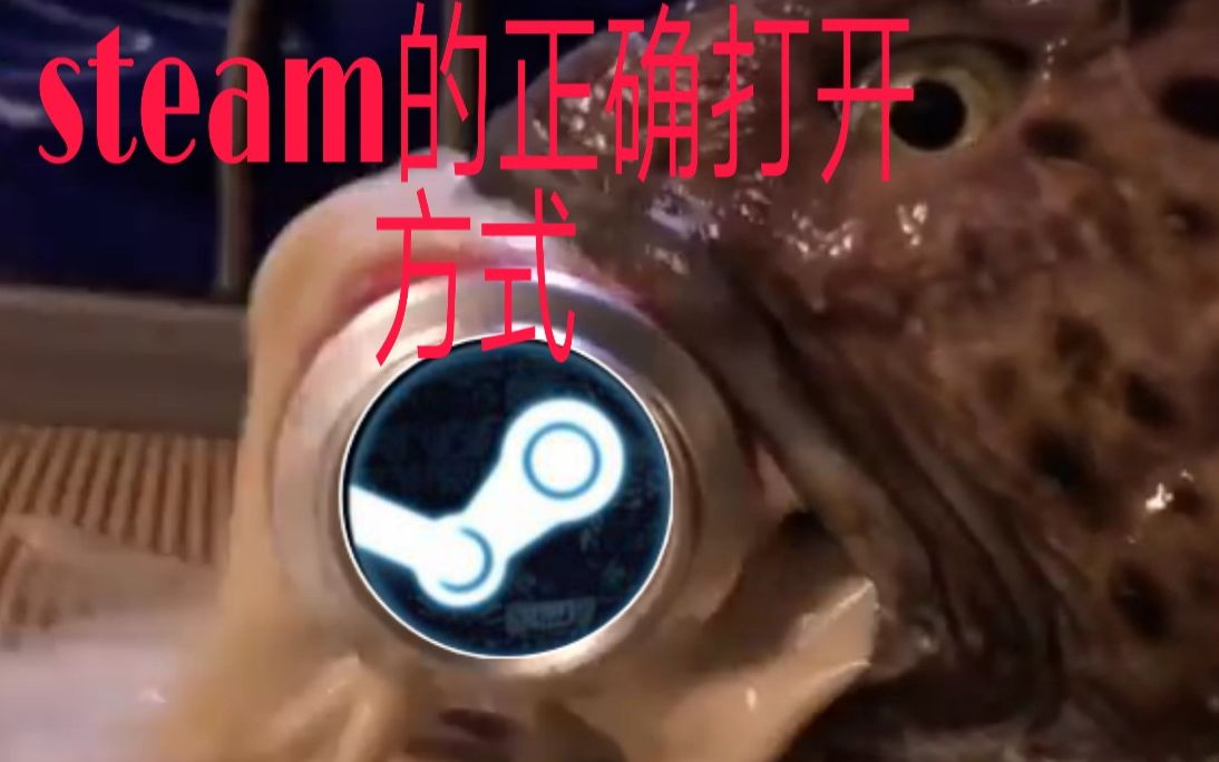 (胡神百科2)--steam新手常见打不开问题以及安装常见注意现象