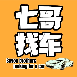 七哥找车 