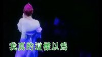 林忆莲:为你我受冷风吹:现场版