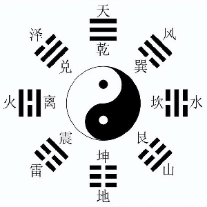 大宅喵 
