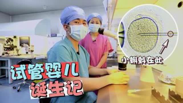 看一看,试管婴儿是如何诞生的?