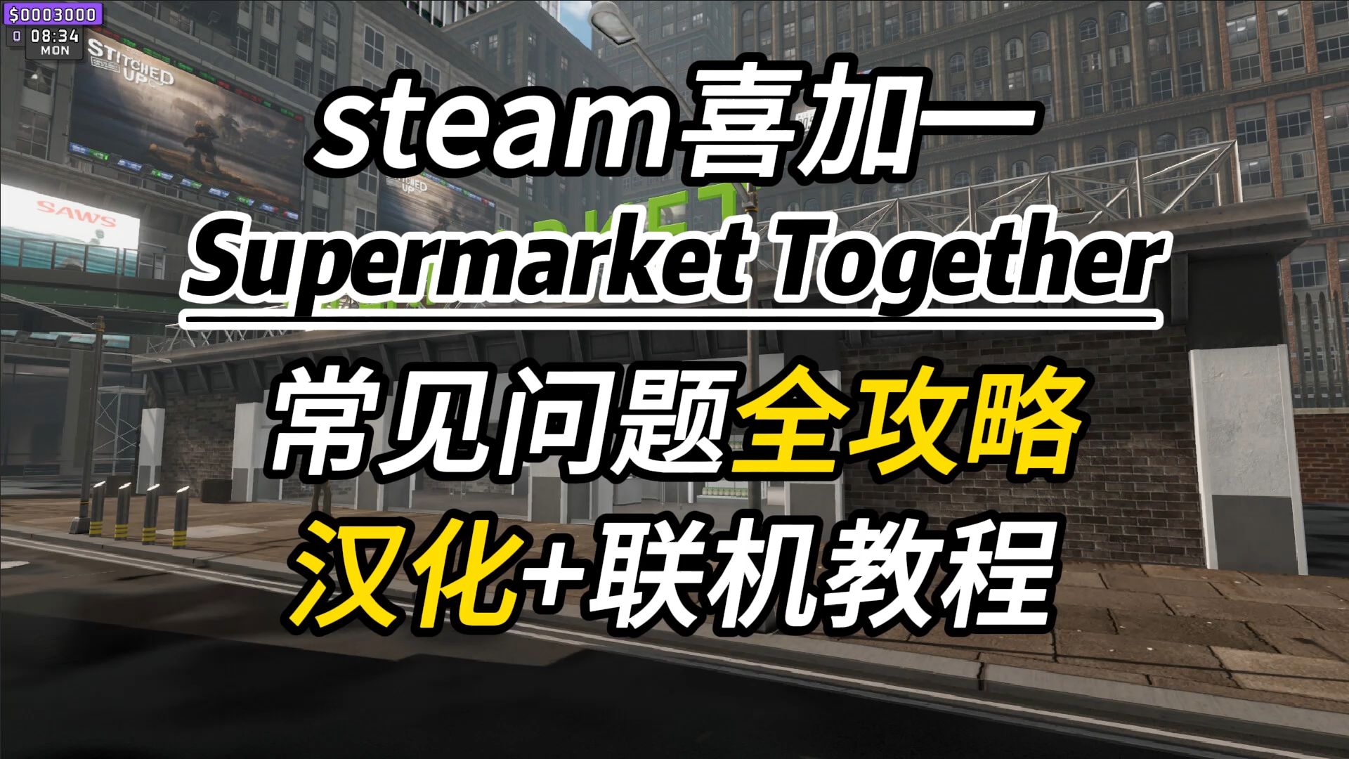...超市怎么联机?怎么存档?难度有什么用?联机邀请失败?中文汉化设置?