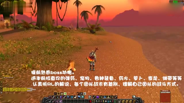 魔兽世界怀旧服猎人怎么玩,猎人极简攻略
