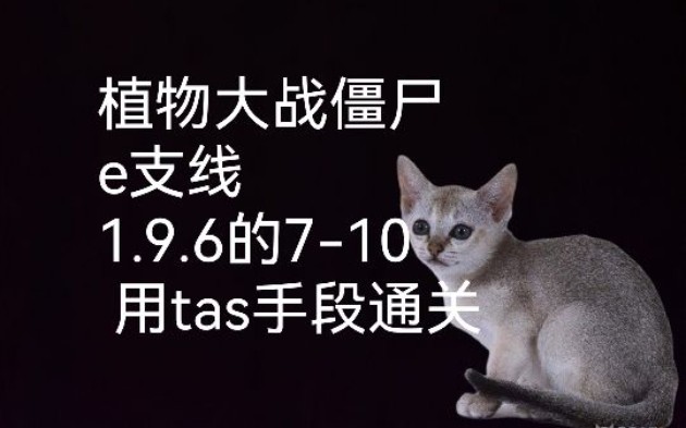 用tas通关e支线1.9.6的7-10(看简介明白tas再评论)