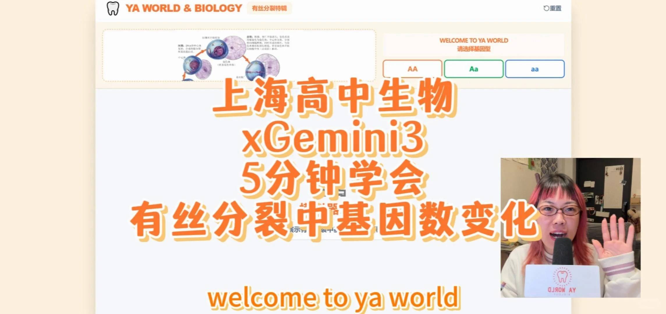 高中生物xGemini3系列-有丝分裂·看懂数量