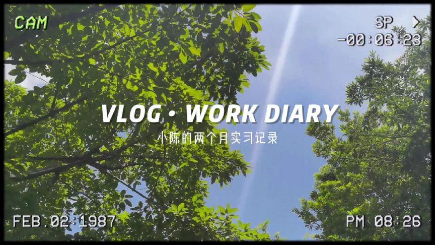 VLOG|小陈的假期实习记录