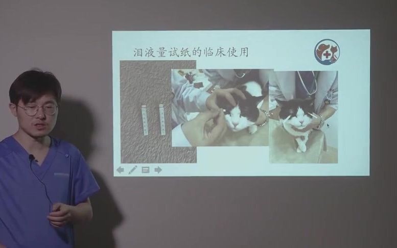 宠物泪液量检测试纸的临床使用