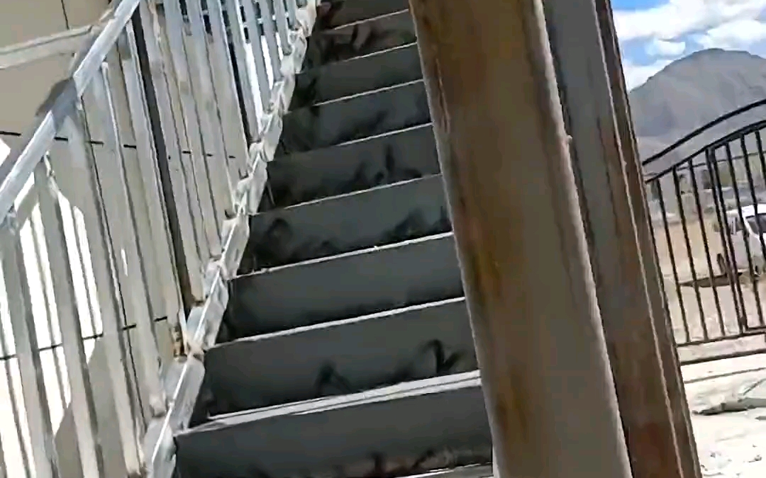 钢结构|钢结构消防楼梯施工