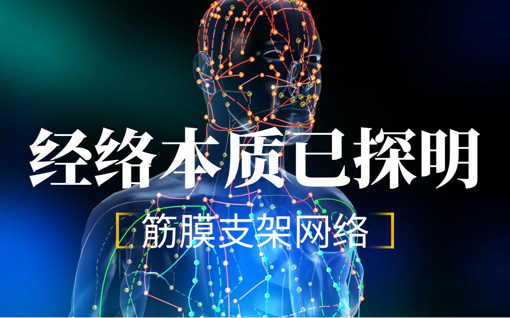 发现经络的载体——筋膜