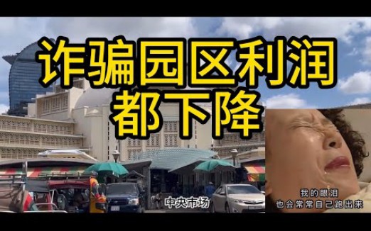 为什么网络诈骗屡禁不绝?带你了解柬埔寨园区内幕