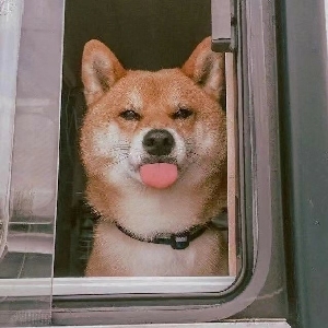 流量卡不百科 