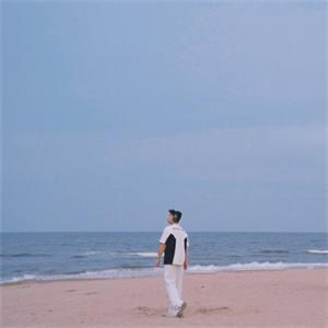 宾宾的奇妙旅行