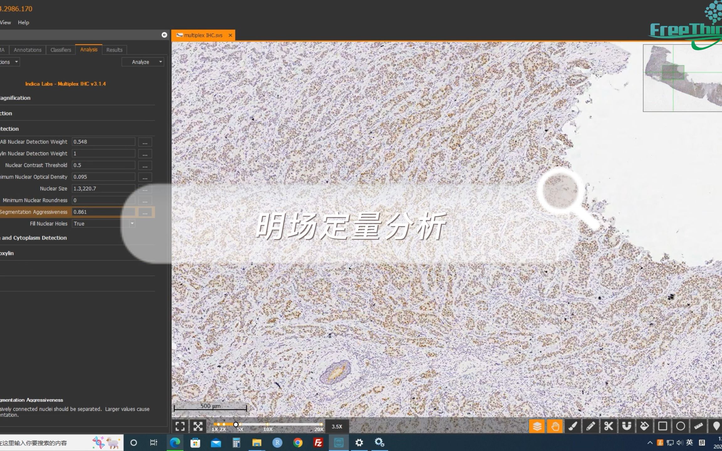 明场定量分析