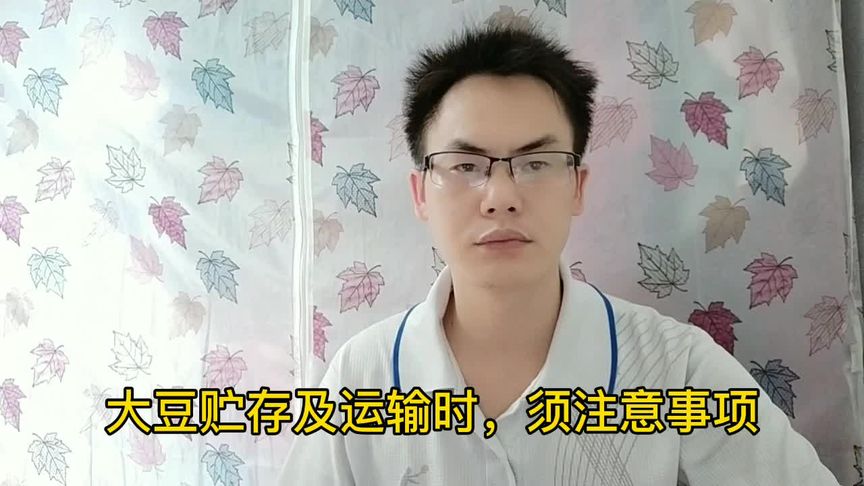 大豆贮存及运输时,须注意事项