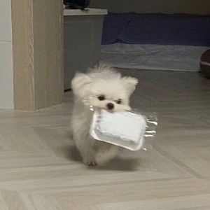 he丨丨ooooo 